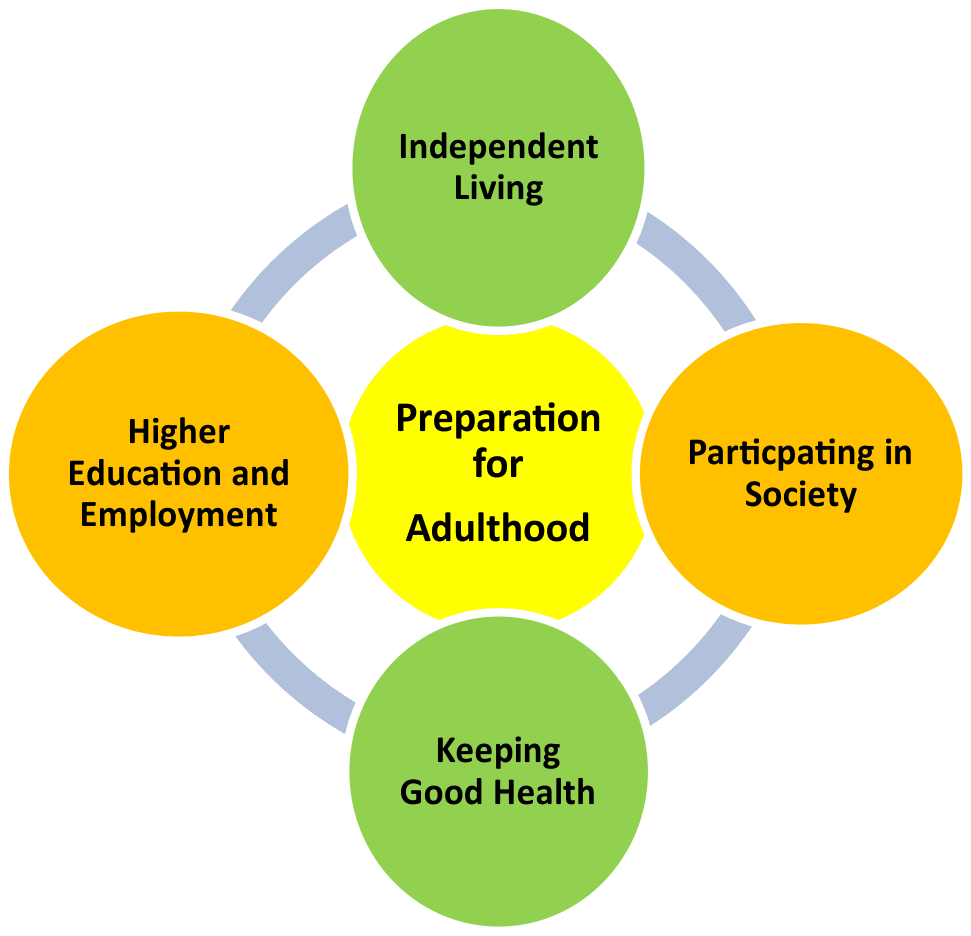 PREPARATION FOR ADULTHOOD – THE SERRENDIP